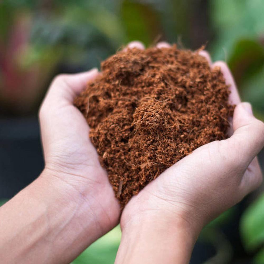 ¿Qué es un sustrato y por qué es tan importante? - Gardém